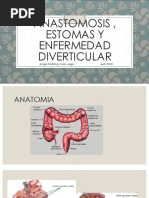 Drenaje Biliar: Sonda T y Cuidados | PDF | Cirugía | Especialidades Medicas