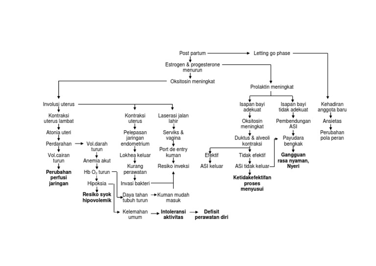 Pathway Nifas Fisiologis | PDF
