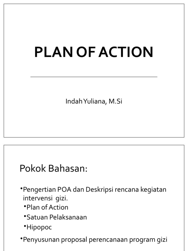 POA Plan of Action | PDF