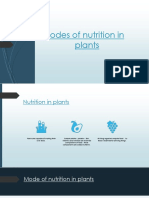 Indigenous Fruits of Zimbabwe Overview | PDF | Fruit