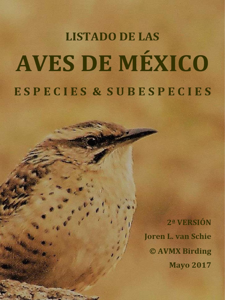 Aves Mexicanas | PDF | Especies | Lengua española