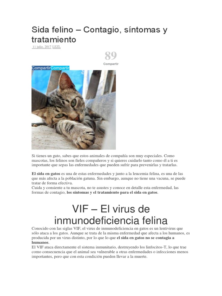 Sida Felino: Contagio y Tratamiento | PDF | VIH / SIDA | Gatos