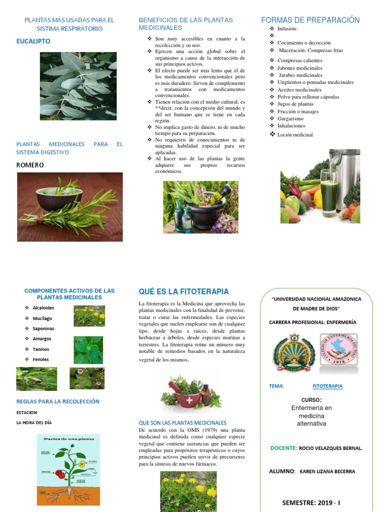 triptico | Plantas medicinales | Herboristería