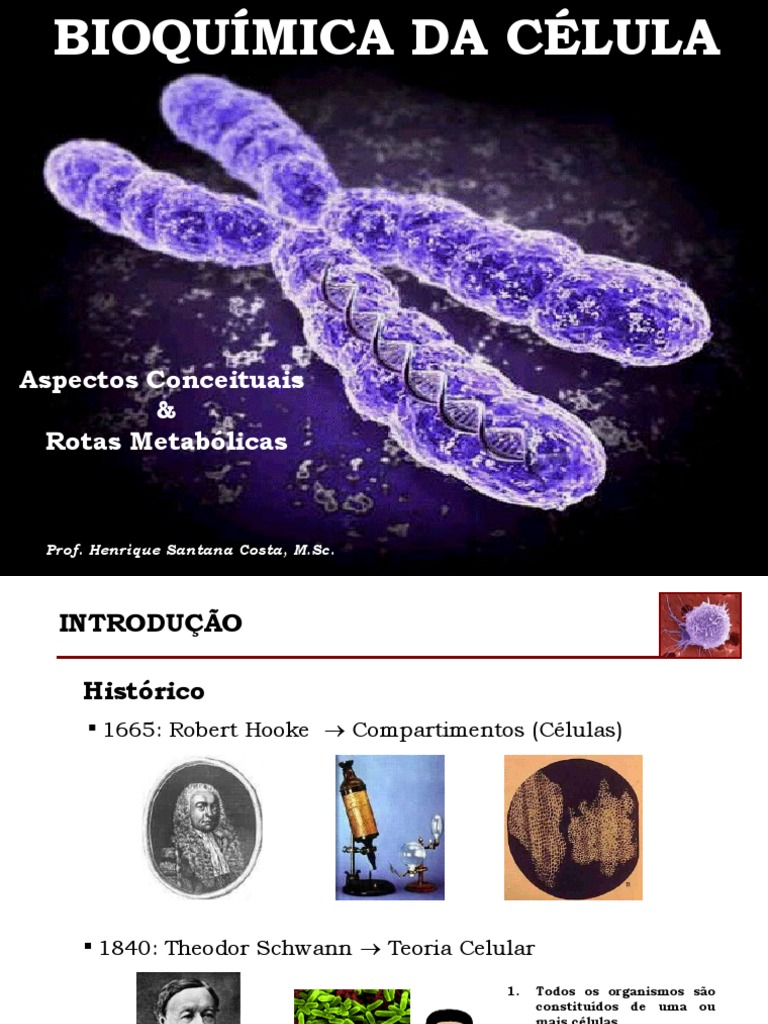 Bioquímica Celular: Estruturas e Funções | PDF | Célula (Biologia ...