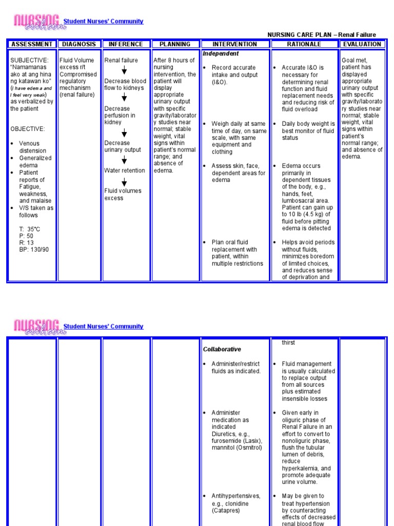 Nursing Care Plan | PDF | Kidney | Diseases And Disorders