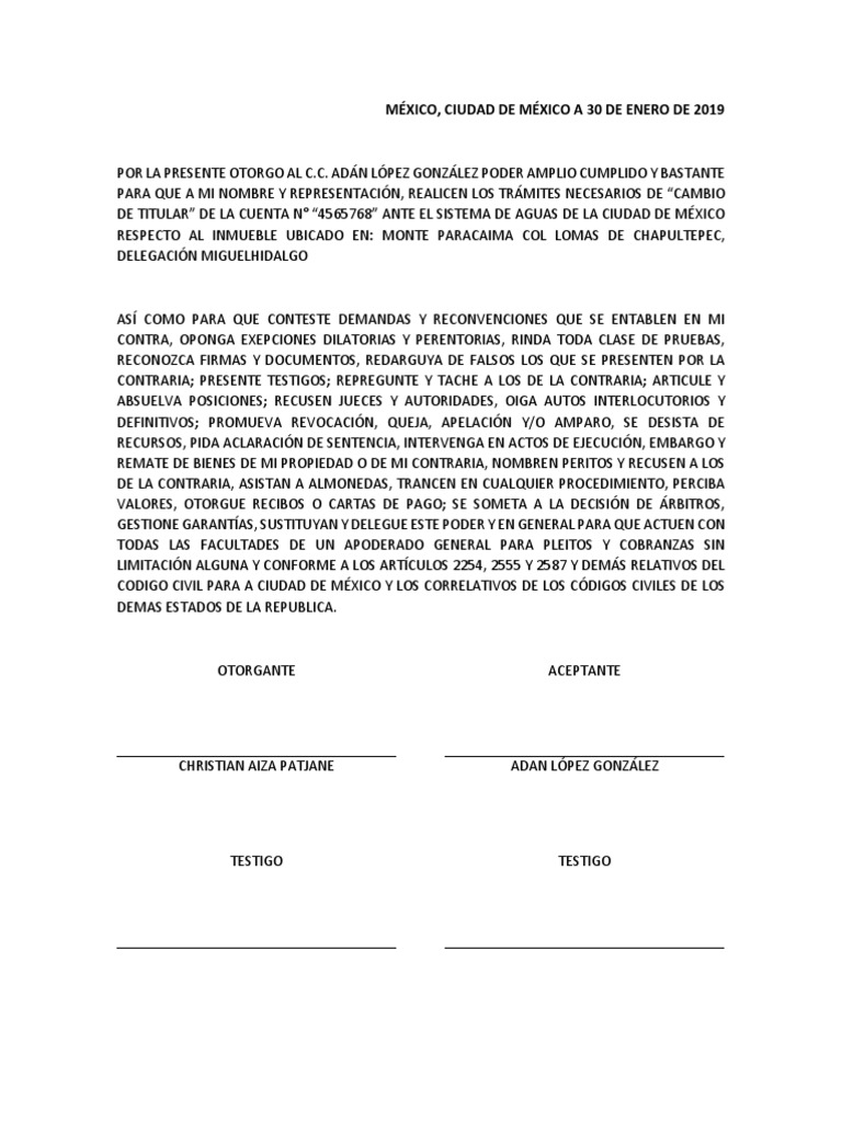 Carta Poder Ampliada | PDF | Derecho