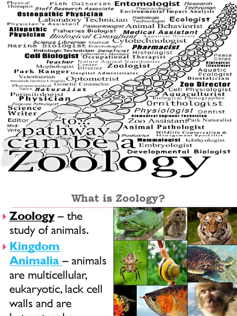 Lesson 1-ZOO 10 Introduction | PDF | Zoology | Biology