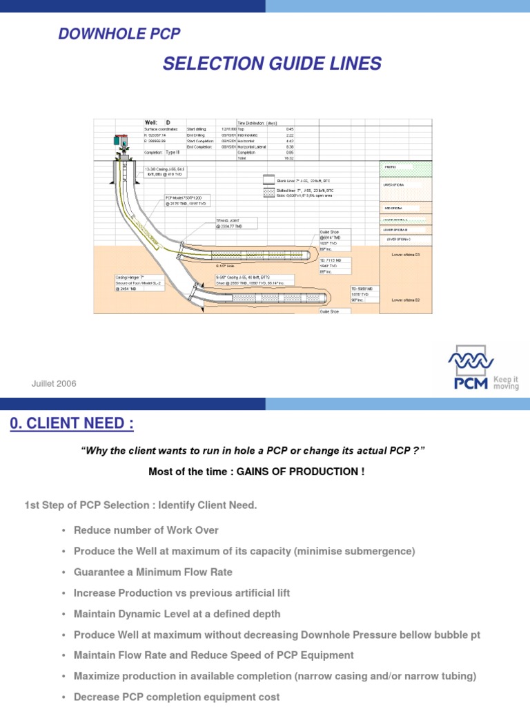 Selection Guide Lines: Downhole PCP | Download Free PDF | Electric ...