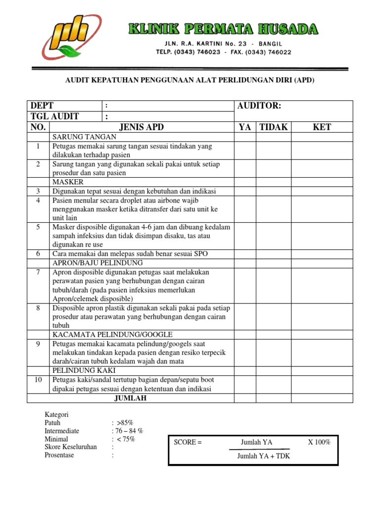 Form Audit APD | PDF