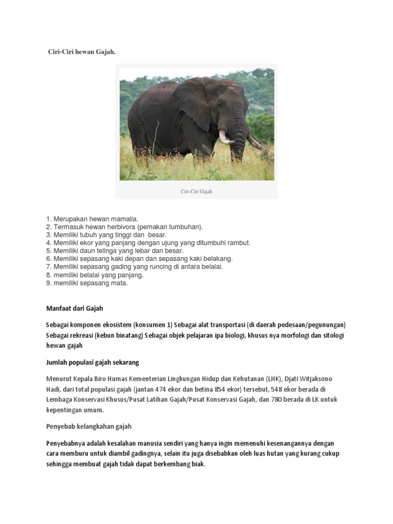 Ciri Ciri Gajah | PDF