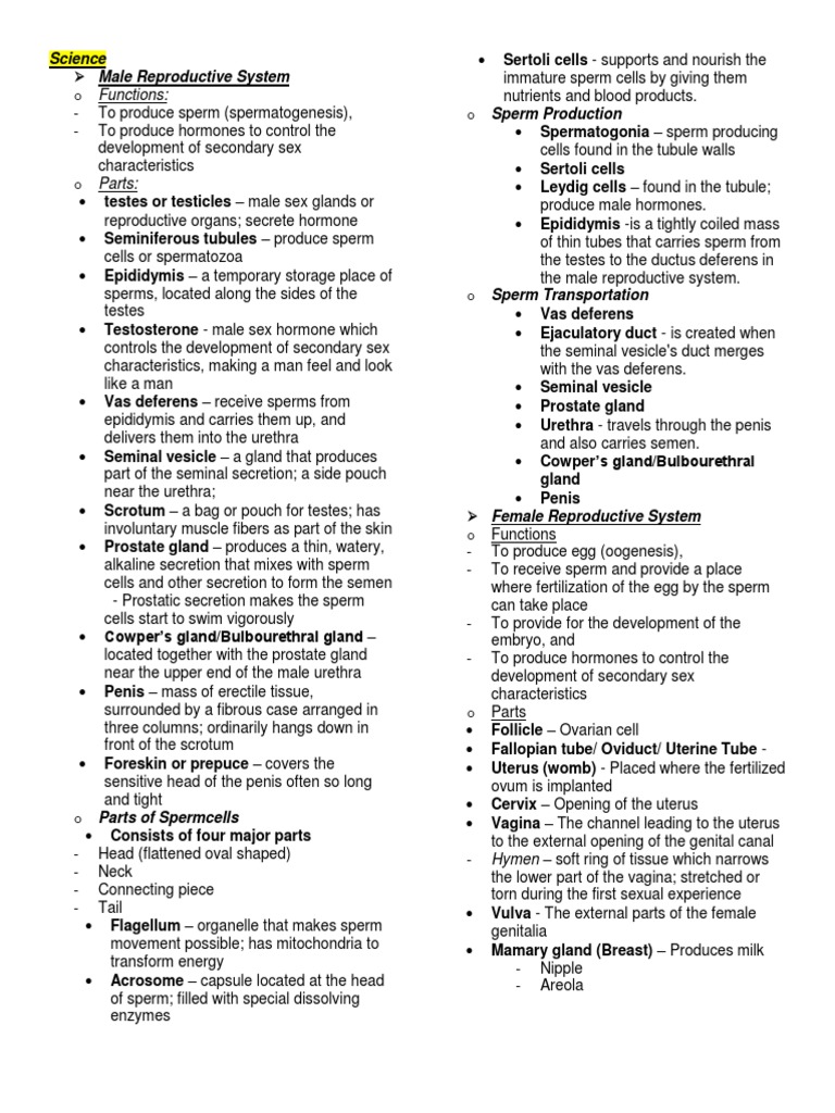 3rd Monthly Test Reviewer | PDF | Testicle | Essays