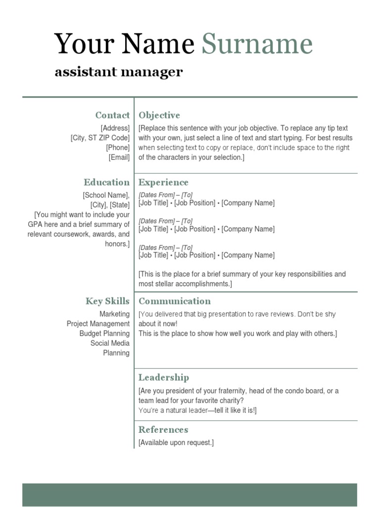 CV Template | PDF