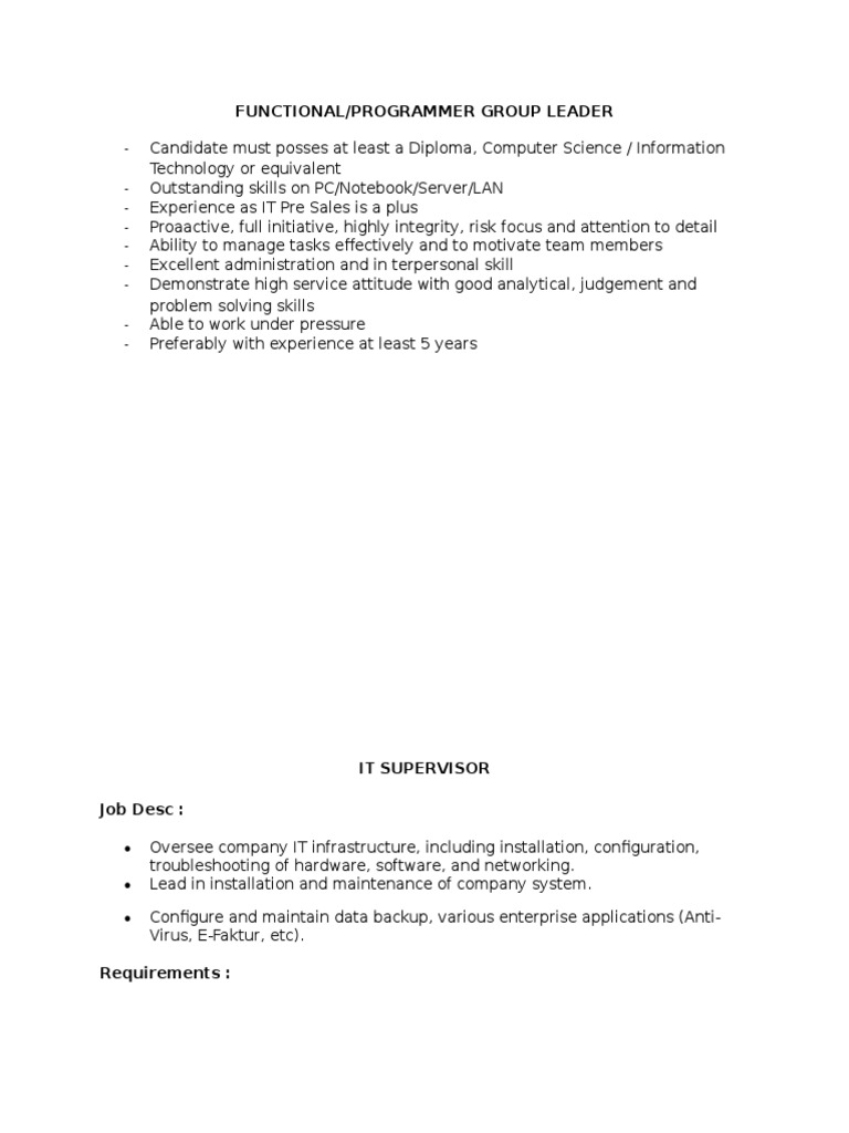 Functional/Programmer Group Leader | PDF