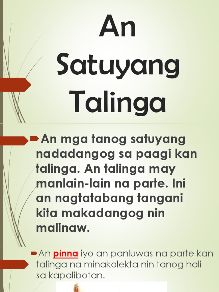 An Satuyang Talinga | PDF