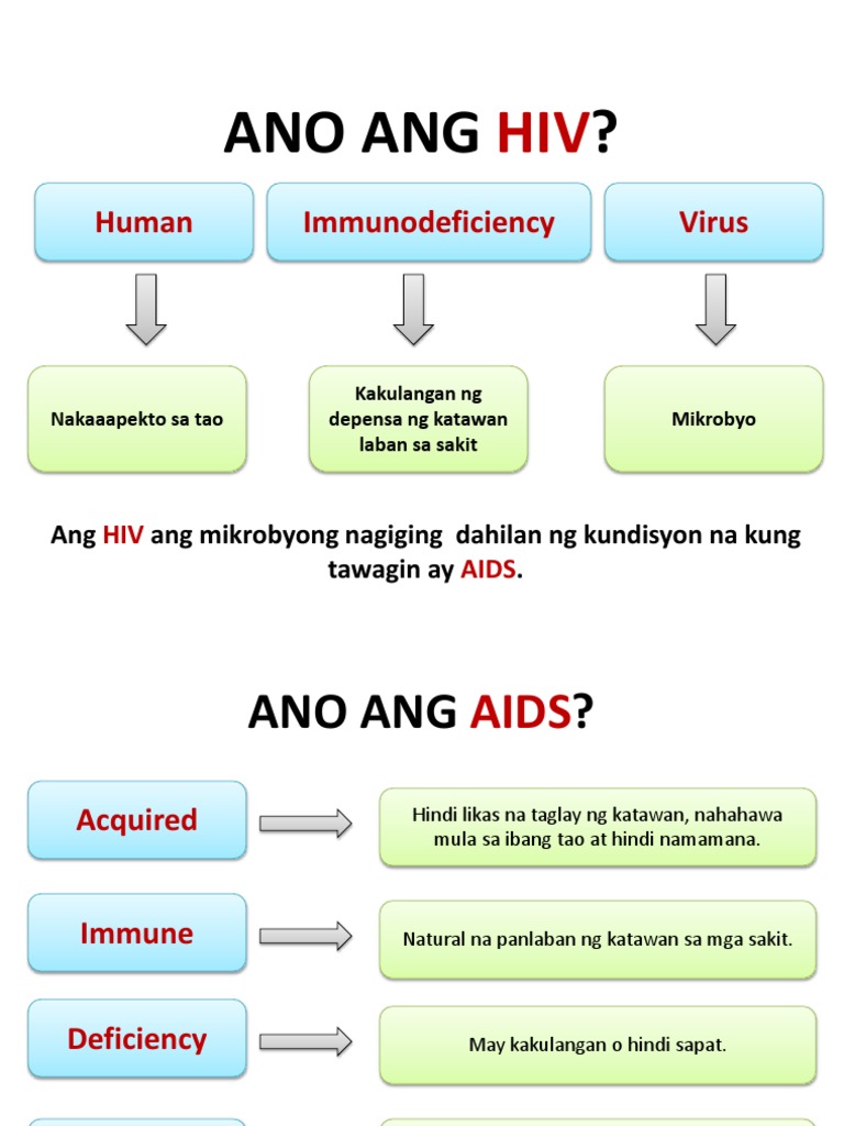 Ano Ang Hiv | PDF
