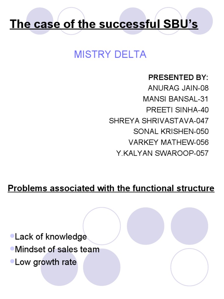 The Case of The Successful SBU | PDF | Business | Public Sphere
