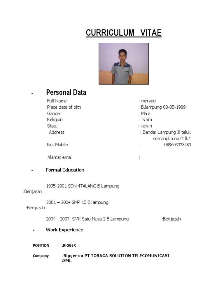 Curriculum Vitae: Personal Data | PDF | Business