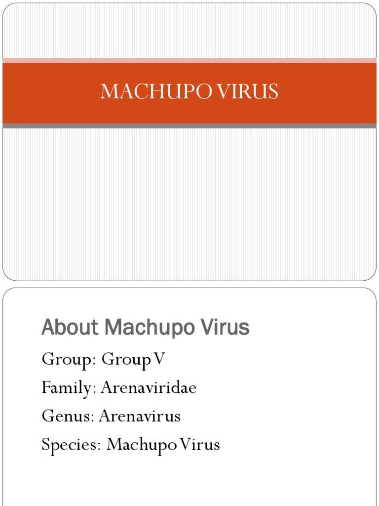 Machupo Virus | PDF | Animal Virology | Virus