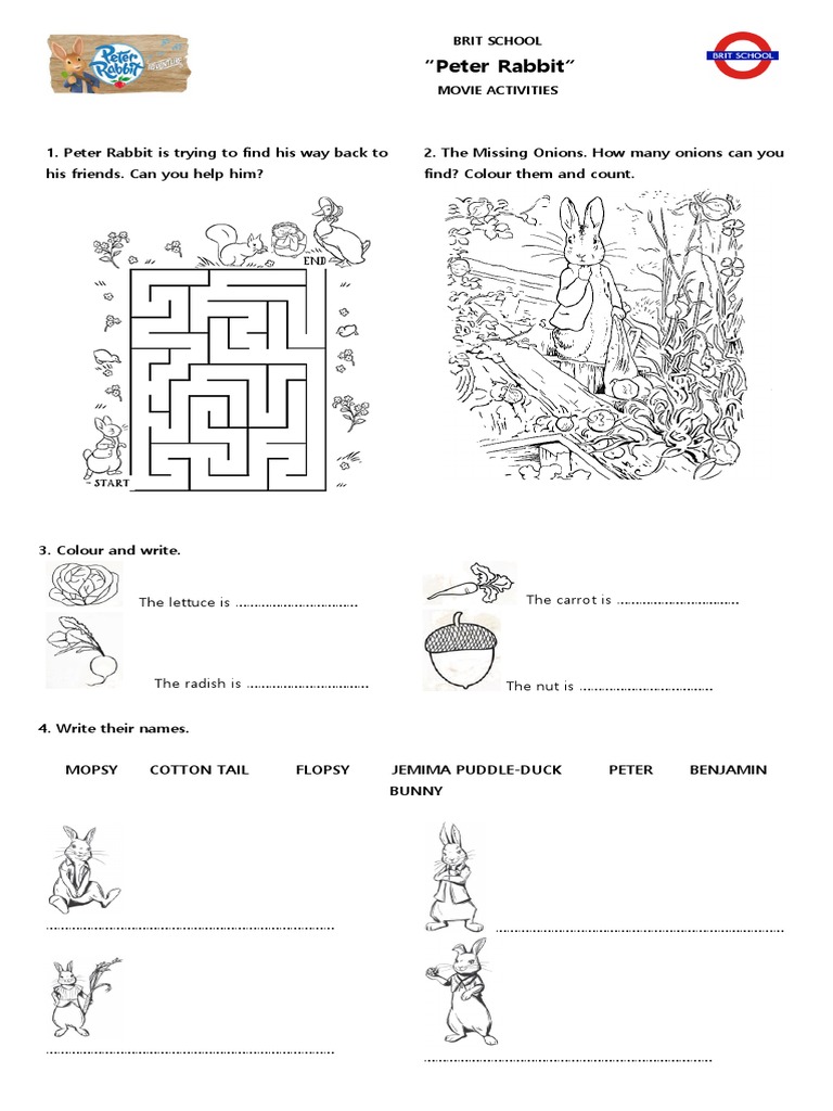 Peter Rabbit Activities | PDF