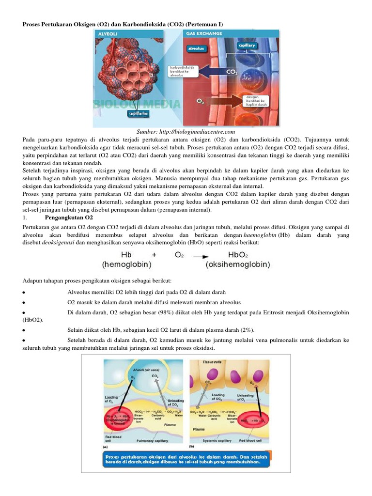 Proses Pertukaran Oksigen | PDF | Perjalanan