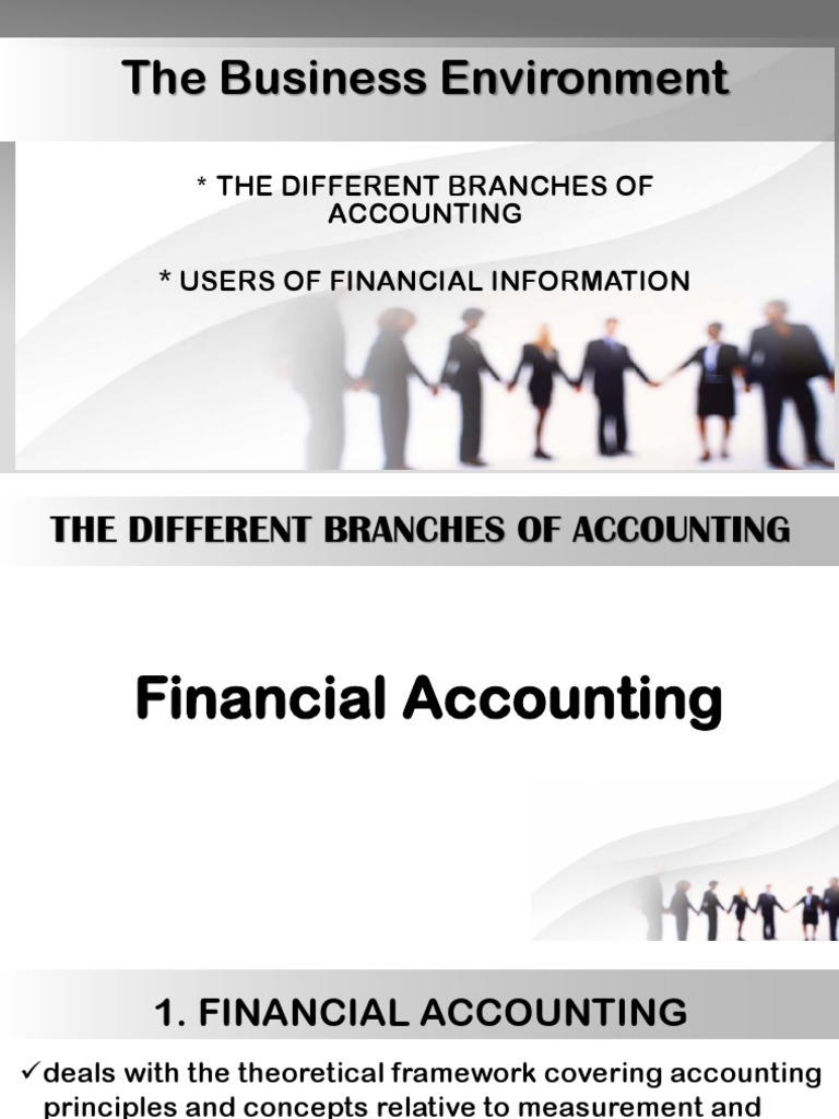The Business Environment2 | PDF | Financial Accounting | Accounting