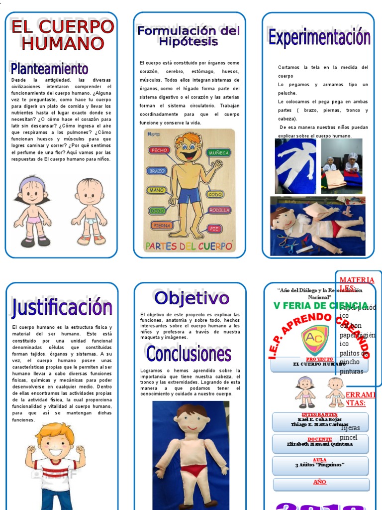 Triptico Cuerpo Humano | PDF | Cuerpo humano | Homo Sapiens