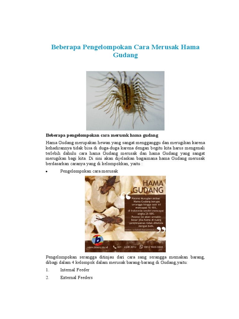 Beberapa Pengelompokan Cara Merusak Hama Gudang | PDF