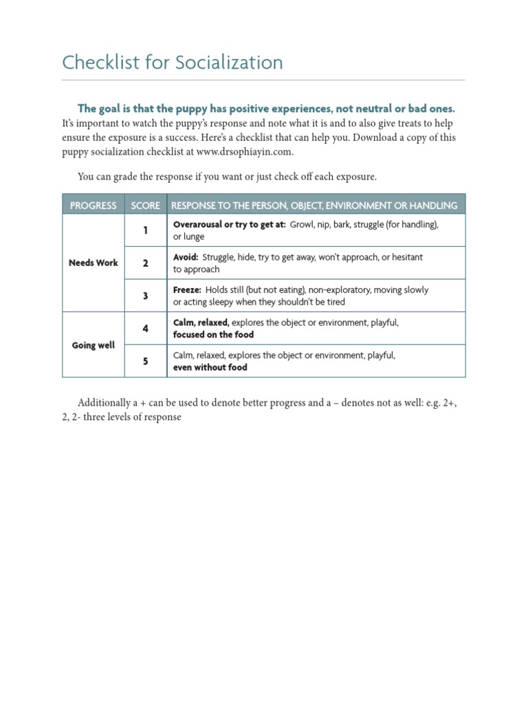 Socialization Checklist PDF | PDF | Nature