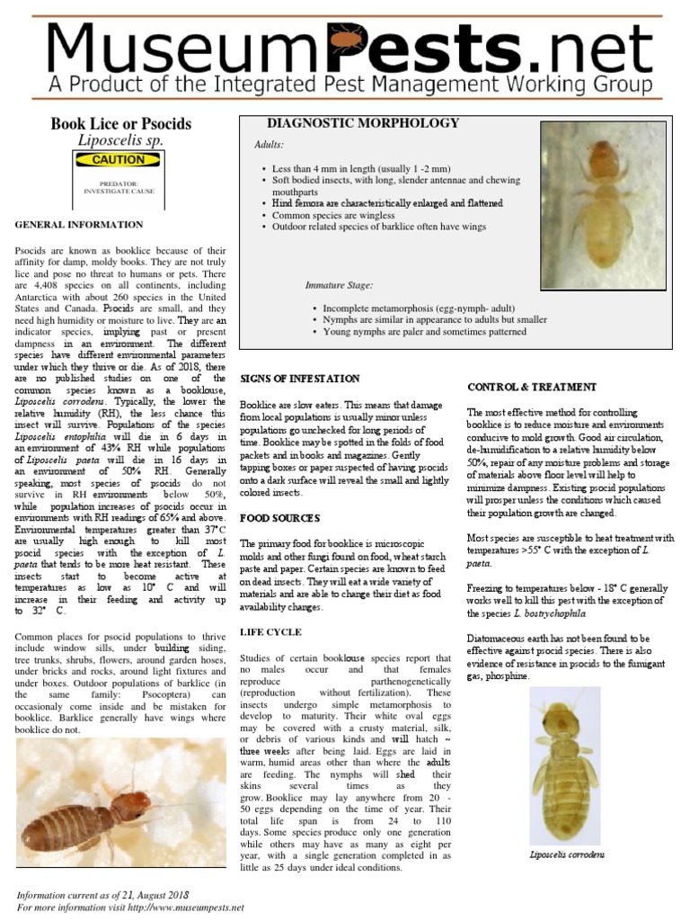 Book Lice | PDF | Relative Humidity | Insects