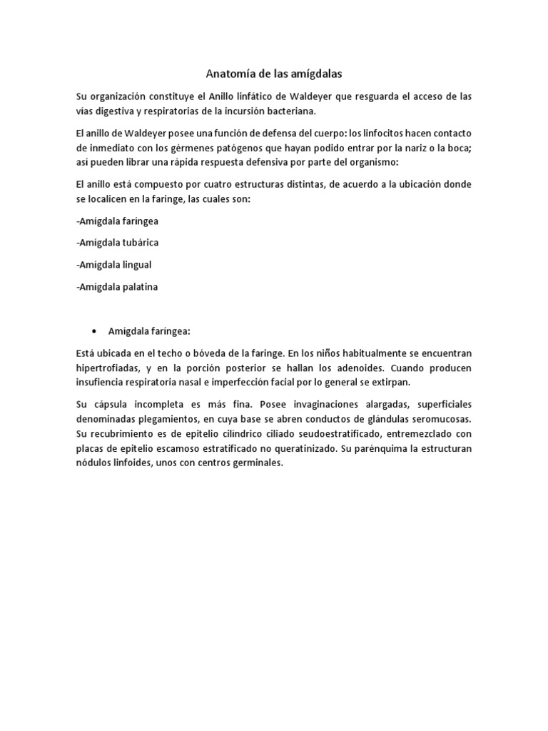 Anatomía de Las Amígdalas | PDF