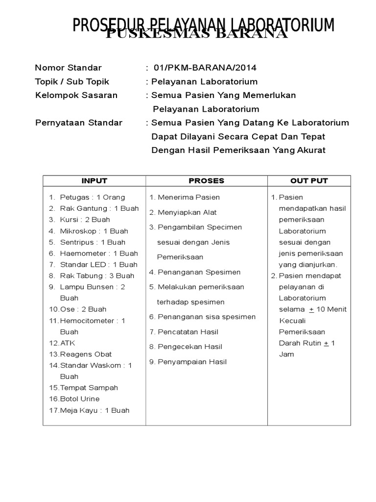 Format Standar Pelayanan | PDF