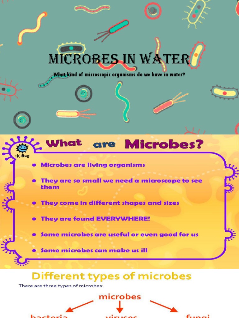 Microbes in Water | PDF