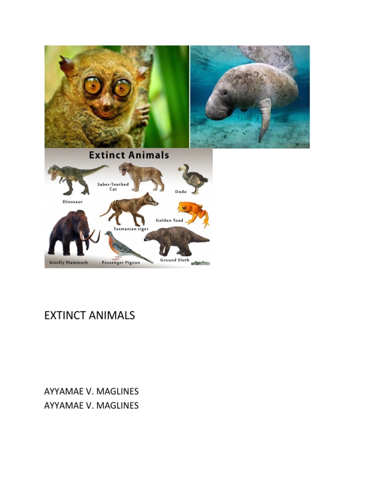 Extinct Animals | PDF