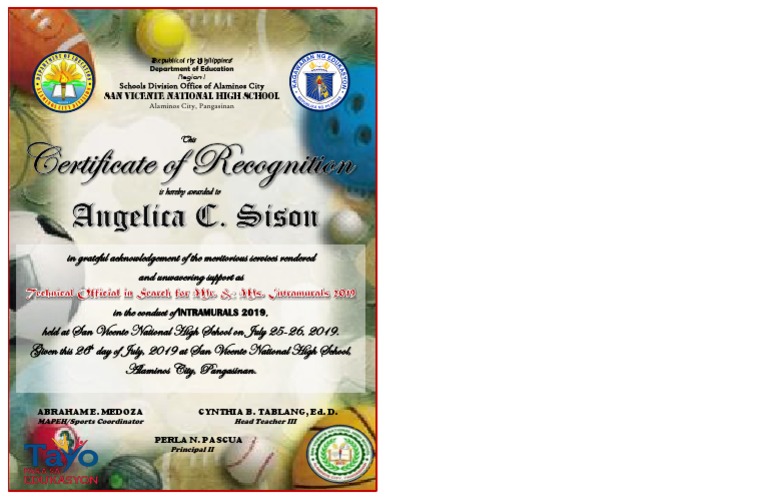 Certificate For Technical Official | PDF
