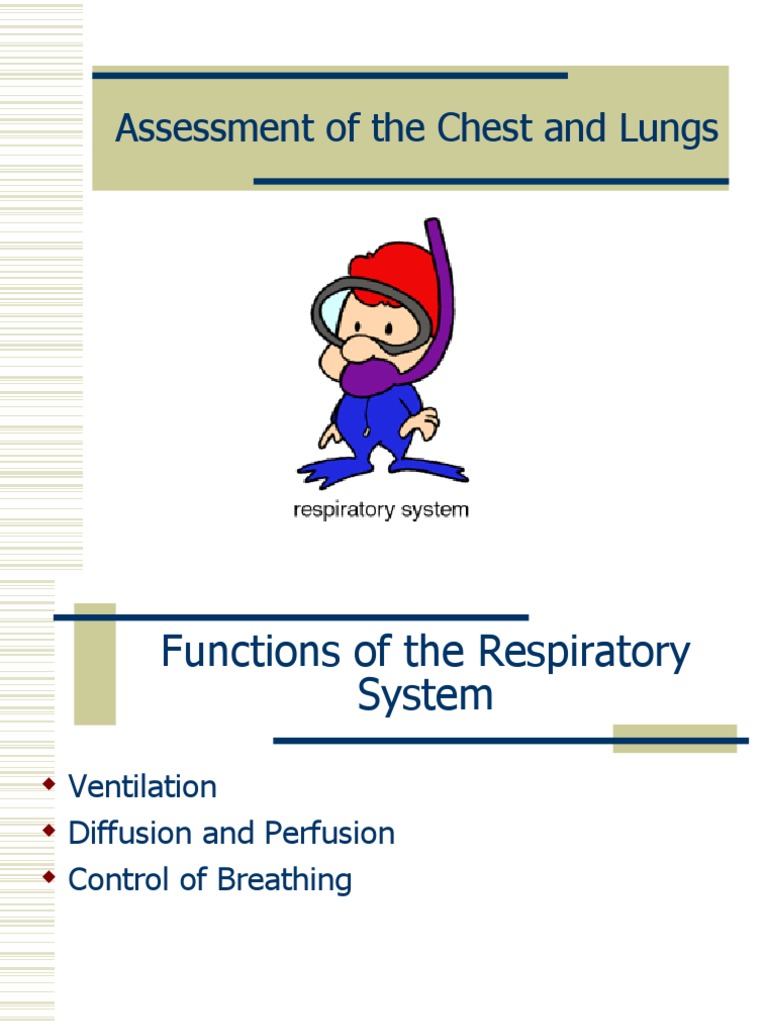 Assessment of The Chest and Lungs | PDF | Respiratory Tract ...