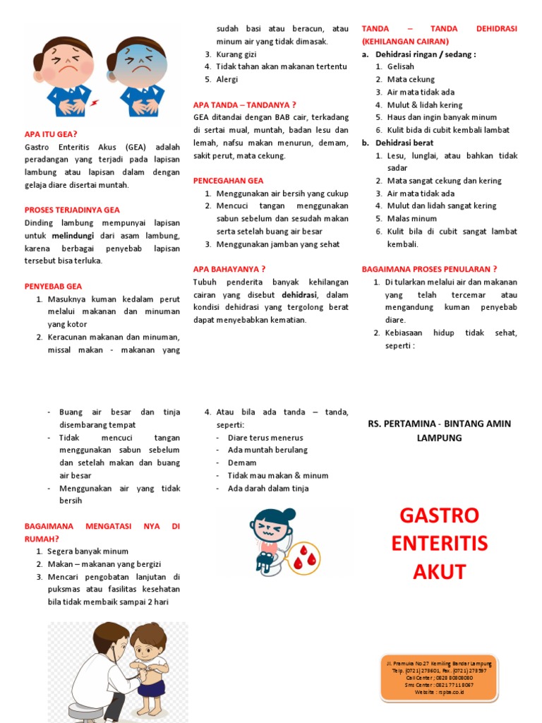 Leaflet Gea | PDF