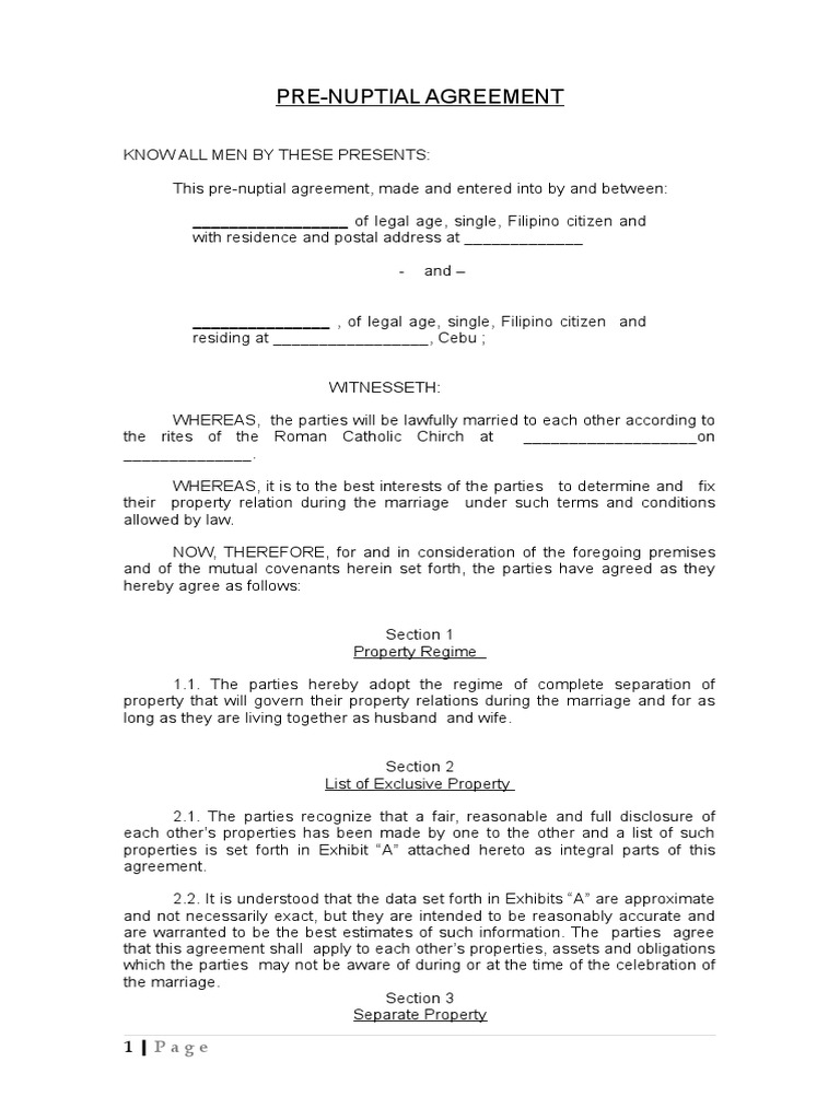 Prenup Sample | PDF | Loans | Property