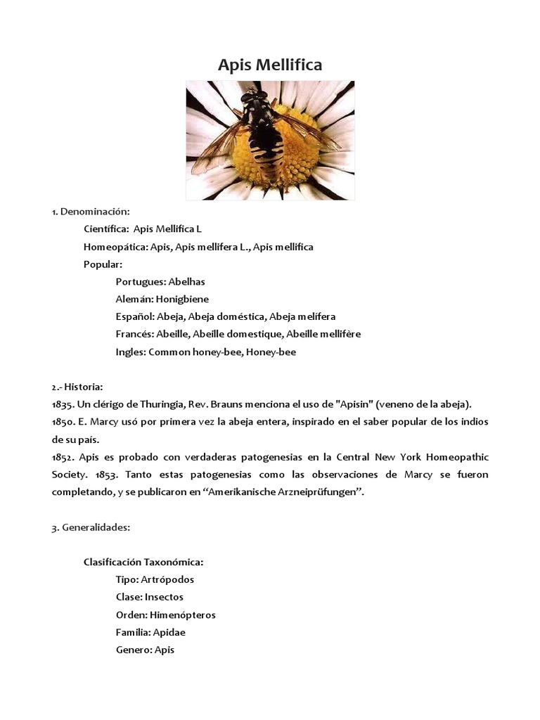 Apis Mellifica: Historia y Usos Homeopáticos | PDF | Meningitis ...