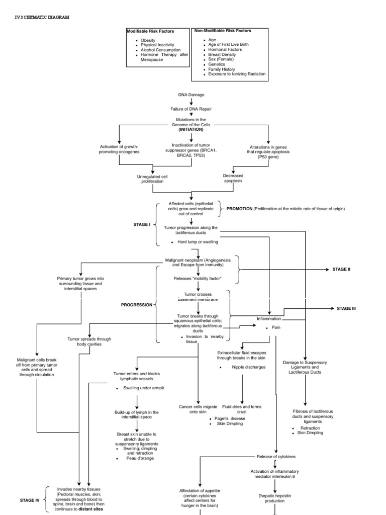 Modifiable Risk Factors Non-Modifiable Risk Factors: Iv. Schematic ...