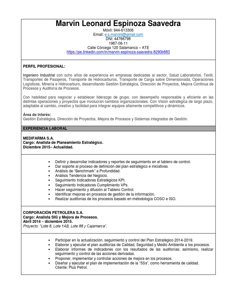 CV Marvin Espinoza | Descargar gratis PDF | Planificación | Ciencia de sistemas