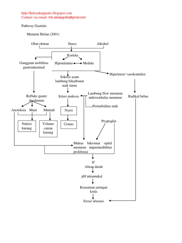 Pathway Gastritis | PDF