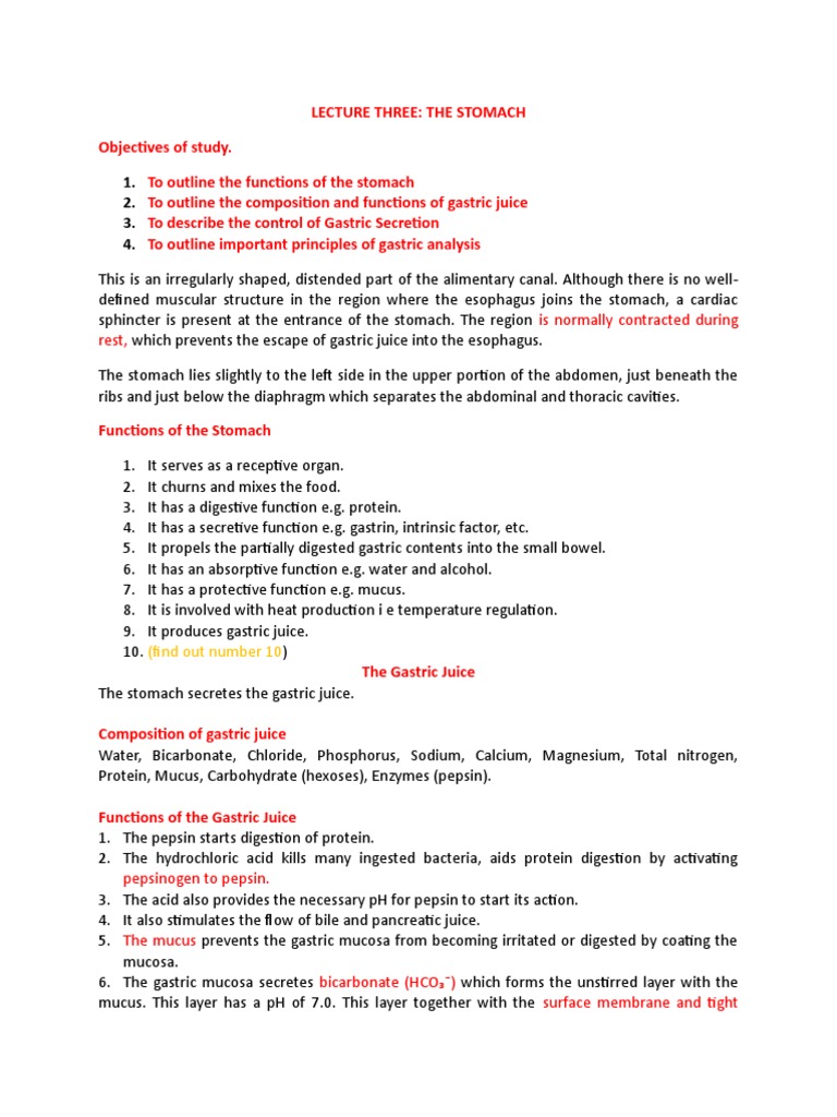 PSG 252 Lecture 3 The Stomach | PDF | Stomach | Digestion