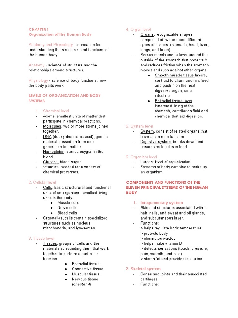 Chapter 1 AnaPhy Notes - Reviewer | PDF | Human Body | Abdomen