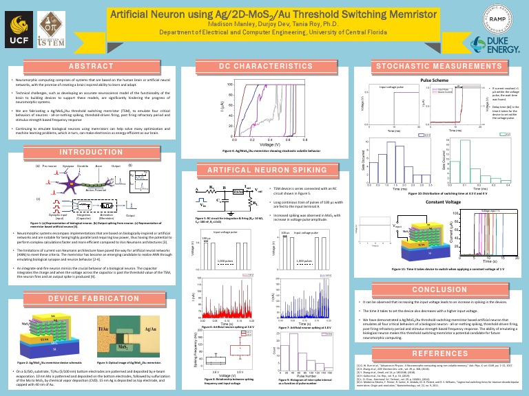 Neuron Poster 2 | PDF | Neuron | Action Potential
