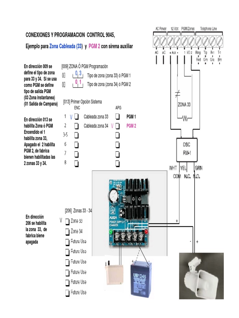 Programación de Zonas y PGM en DSC 1832 | PDF