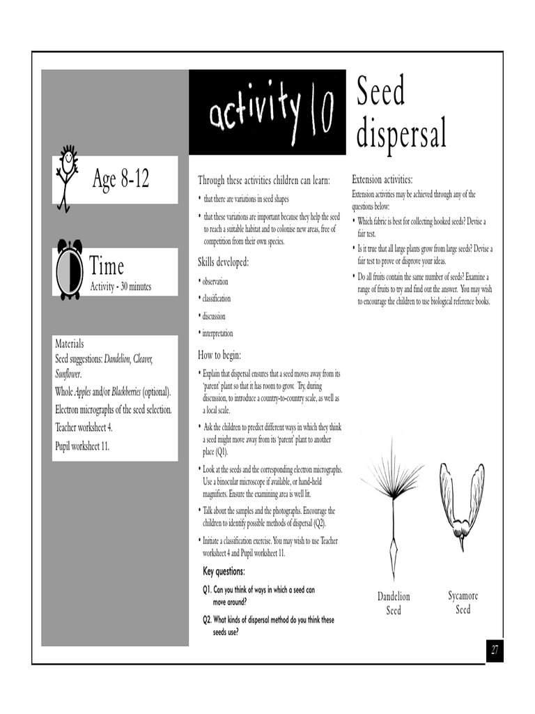 How Seeds Spread | PDF | Fruit | Seed