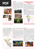 Triptico Experimento de Mathias Torre de Iquidos | PDF | Densidad | Líquidos