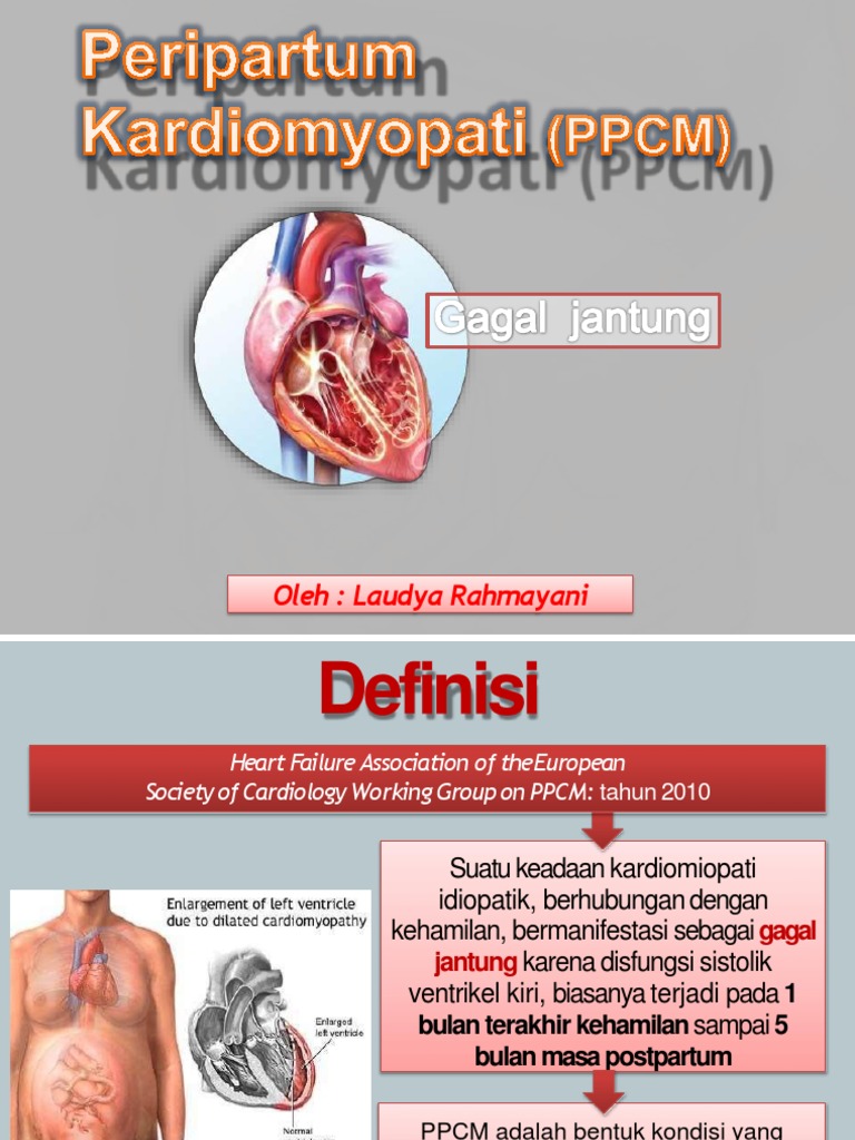 PPCM | PDF | Sains & Matematika