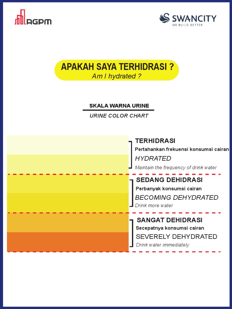 Apakah Saya Terhidrasi ?: Am I Hydrated ? | PDF