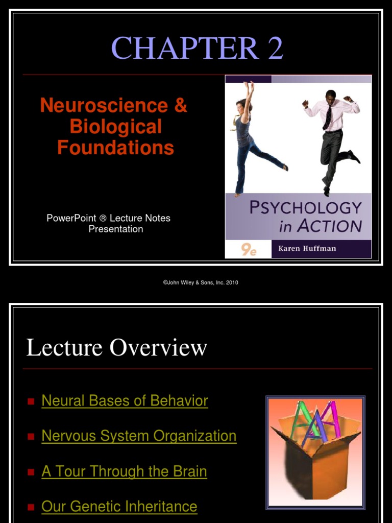 Neuroscience & Biological Foundations: Powerpoint Lecture Notes ...